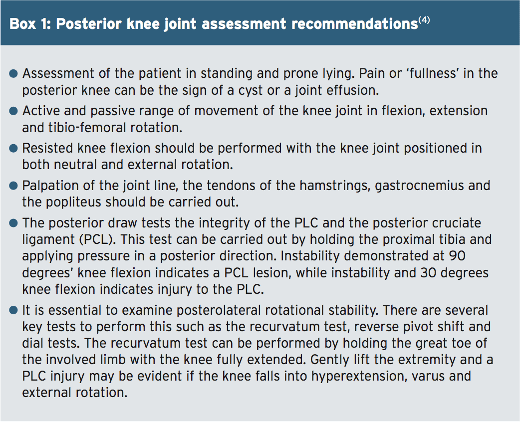 Popliteus Muscle: Assessment & Rehabilitation