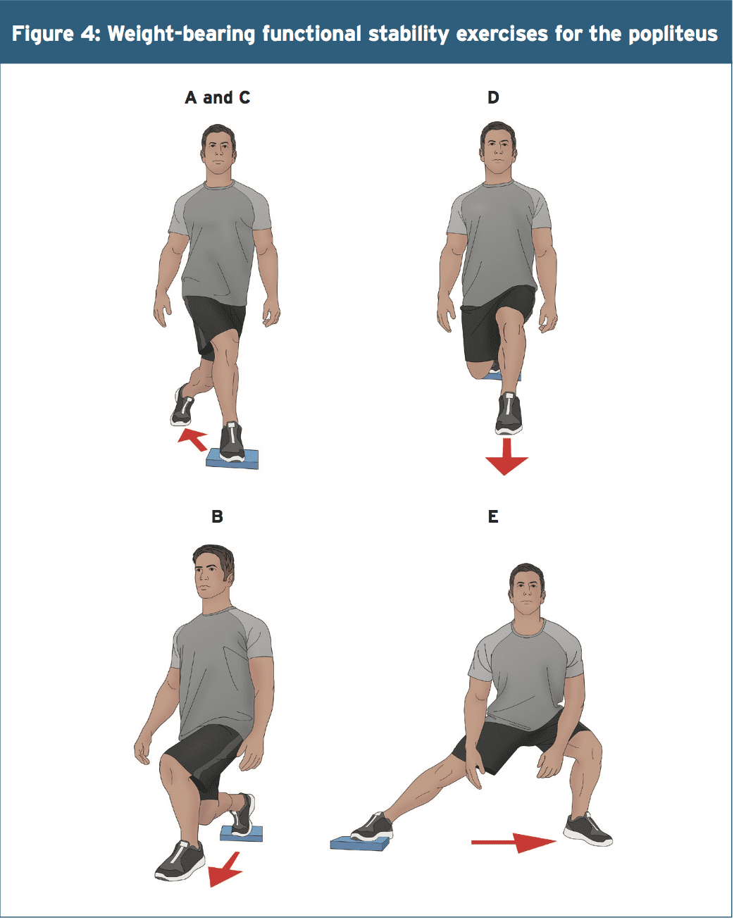 Popliteus Muscle: Assessment & Rehabilitation